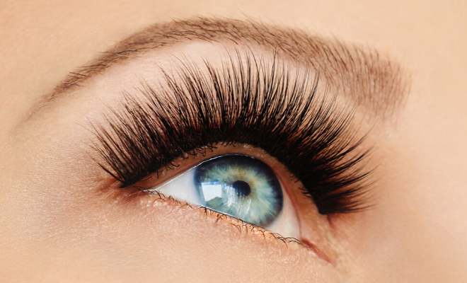 Odaberite veštačke trepavice prema obliku oka | Lepotica.rs