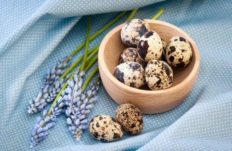 Mini vodič kroz vrste i veličine jaja | Lepotica.rs